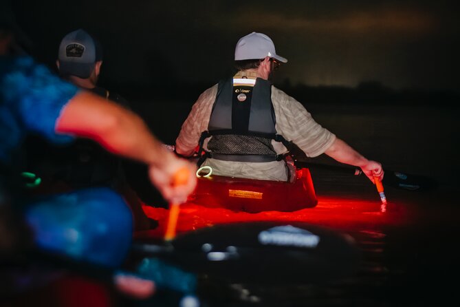 LED Bio Comb Jelly Clear Bottom Kayak or Paddleboard Tour! - The Sum Up