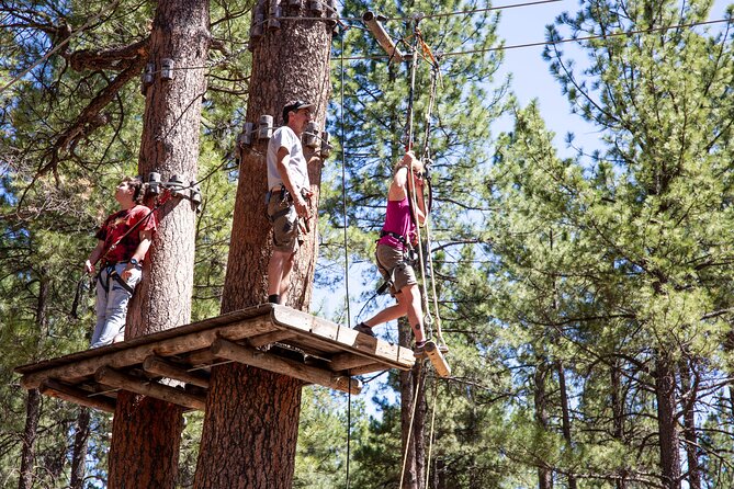 Ledgewood Adventure Course - What You Can Expect During Your Visit