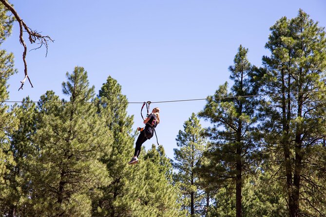 Ledgewood Adventure Course - The Authentic Experience: Pros and Cons