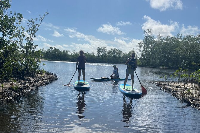 Lets Paddle! Jupiter & surrounding areas - Introduction to the Experience