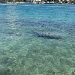 Lets Paddle! Jupiter & surrounding areas - Authentic Experiences from Reviews