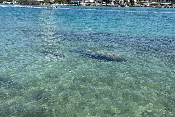 Lets Paddle! Jupiter & surrounding areas - Authentic Experiences from Reviews