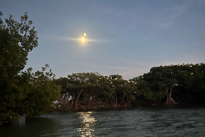 Lets Paddle! Jupiter & surrounding areas - Final Thoughts