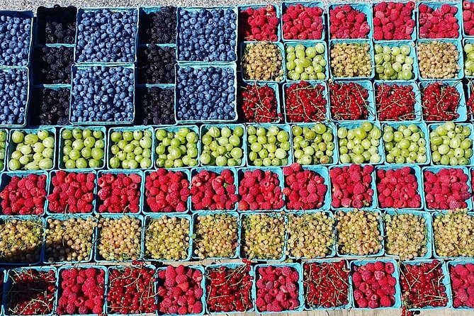 Lewin Farms, Lavender By The Bay and Tanger Outlets Full-Day Tour - A Complete Breakdown of the Tour Experience