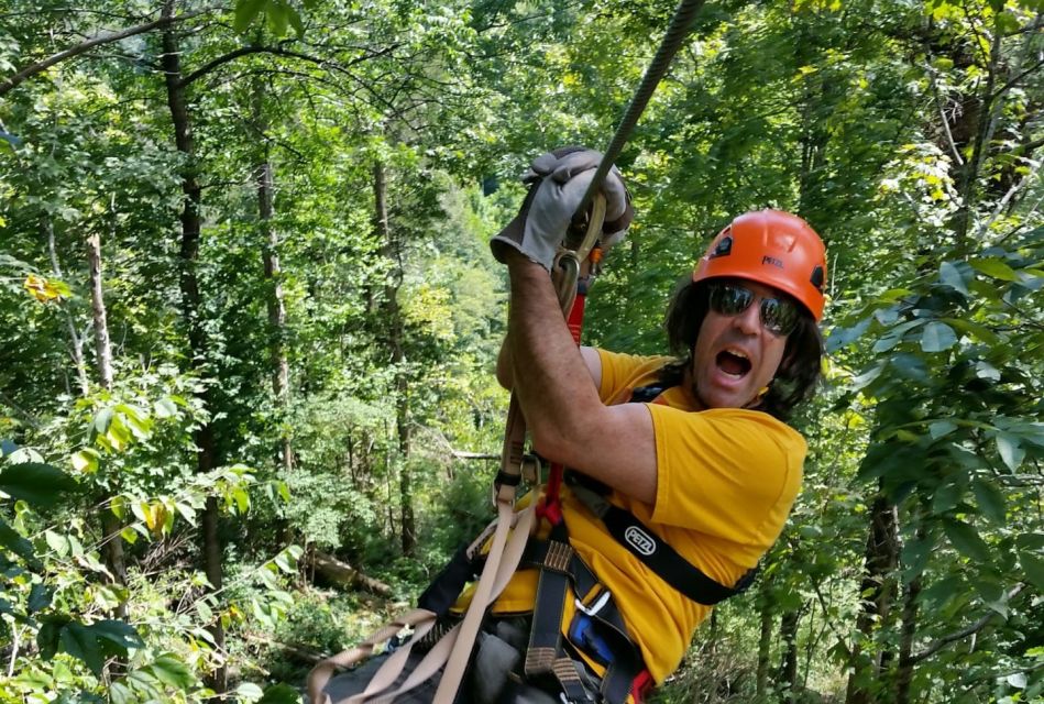 Lexington: Fully Guided Zipline Canopy Tour - Key Points