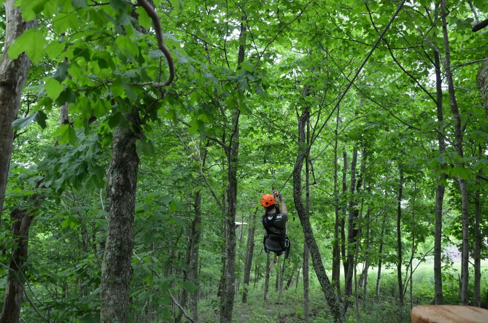 Lexington: Fully Guided Zipline Canopy Tour - Authentic Reviews and Insights
