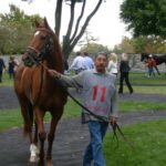 Lexington: Thoroughbred Horse Farm Tour and Scenic Bluegrass - The Itinerary in Detail