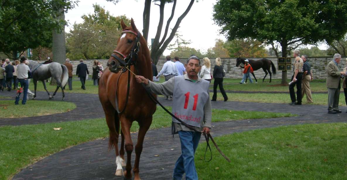 Lexington: Thoroughbred Horse Farm Tour and Scenic Bluegrass - The Itinerary in Detail