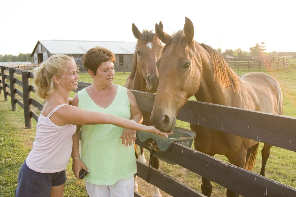 Lexington: Thoroughbred Horse Farm Tour and Scenic Bluegrass - What Makes This Tour Stand Out?