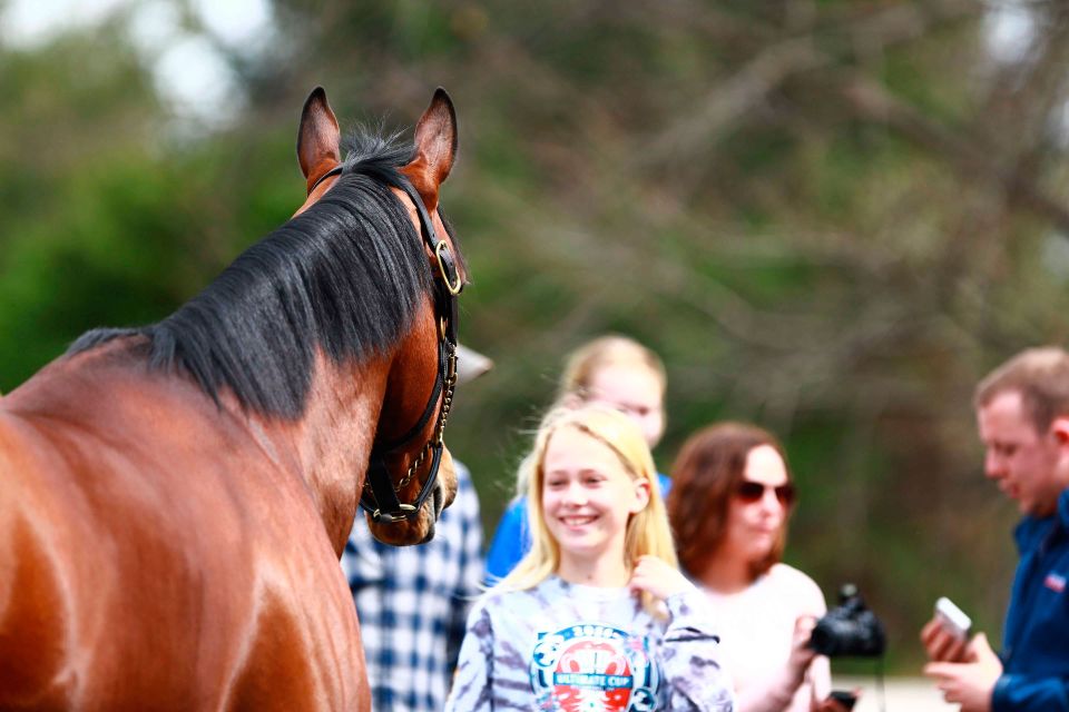 Lexington: Thoroughbred Horse Farm Tour and Scenic Bluegrass - Who Should Consider This Tour?