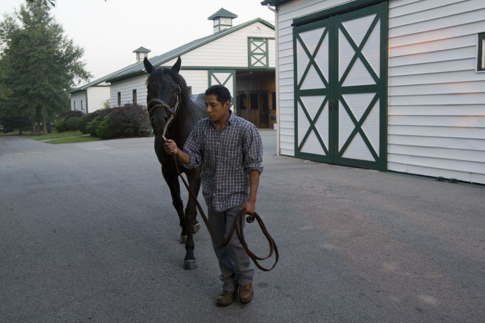 Lexington: Thoroughbred Horse Farm Tour and Scenic Bluegrass - Final Thoughts