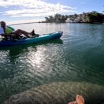 Lido Key Pedal Kayak Tour in Sarasota - The Itinerary: What to Expect