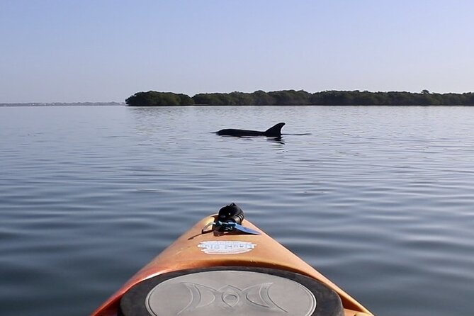 Lido Key Pedal Kayak Tour in Sarasota - Experience: The Real Feel of the Tour