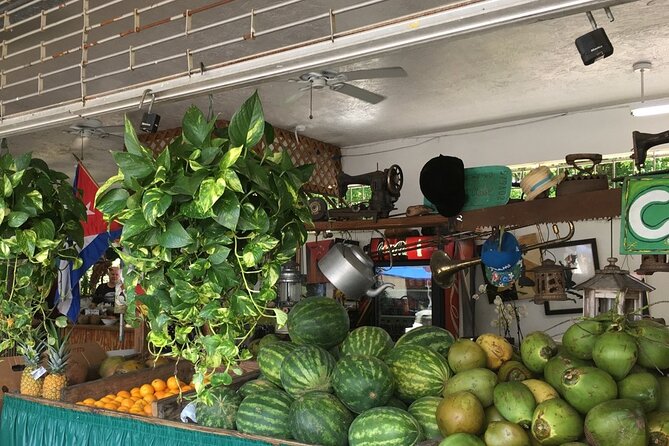 Little Havana French Gourmet Guided Tour - Who Should Take This Tour?
