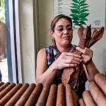 Little Havana Walking Tour + 1 Hour Everglades Airboat Ride - Why This Tour Offers Great Value