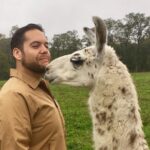 Llama/Alpaca Hike and Farm Tour - The Guided Trek Through Bucolic Scenery