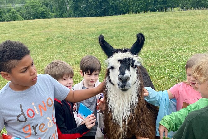 Llama/Alpaca Hike and Farm Tour - Final Stroll and Farm Store Visit
