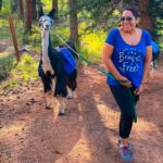 Llama to Lunch in the Rocky Mountains - Why You Should Consider This Tour