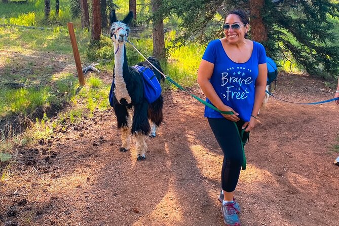Llama to Lunch in the Rocky Mountains - Why You Should Consider This Tour