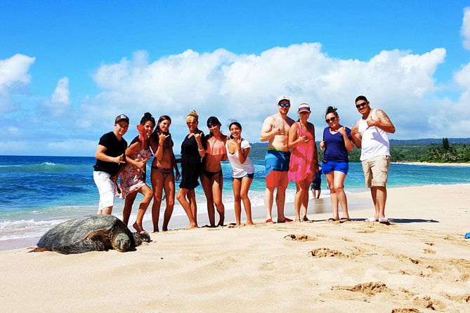 Local Expert Private Tours - Why Choose a Private Oahu Tour?