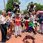 LocalPlaces Understanding Soweto Tour - Why This Tour Offers Real Value