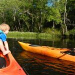 Lofton Creek Kayaking Trip with Professional Guide - Scenic Beauty and Wildlife: An Instagram-Worthy Adventure