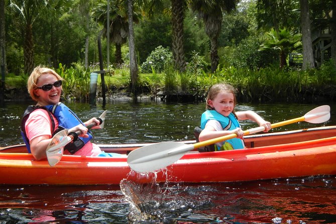 Lofton Creek Kayaking Trip with Professional Guide - What to Expect: A Typical Kayaking Day on Lofton Creek