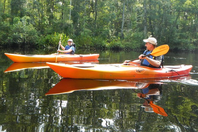 Lofton Creek Kayaking Trip with Professional Guide - Why This Tour Offers Great Value
