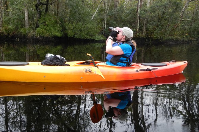 Lofton Creek Kayaking Trip with Professional Guide - Who Would Love This Experience?