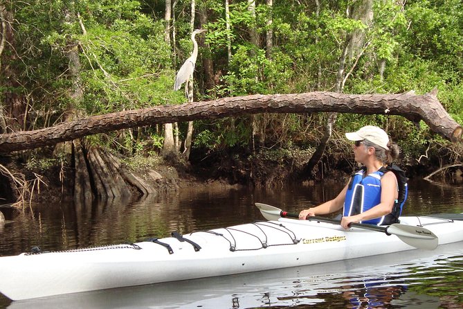 Lofton Creek Kayaking Trip with Professional Guide - Frequently Asked Questions