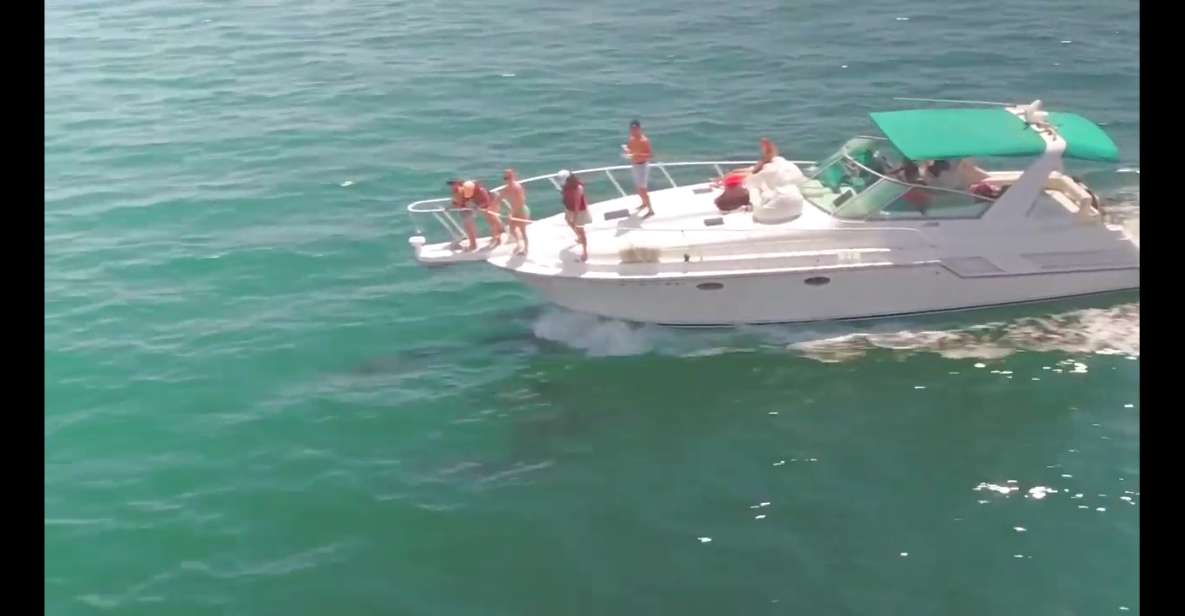 Long Beach: 2-Hour Private Group Yacht Cruise - Who Will Love This Cruise?