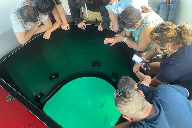 Long Beach Glass Bottom Boat Eco-Tour - Practical Details: What You Need to Know