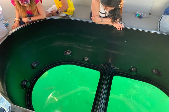 Long Beach Glass Bottom Boat Eco-Tour - Authentic Experiences from Reviewers: What Makes This Tour Special