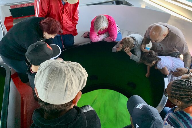 Long Beach Glass Bottom Boat Eco-Tour - In Summary