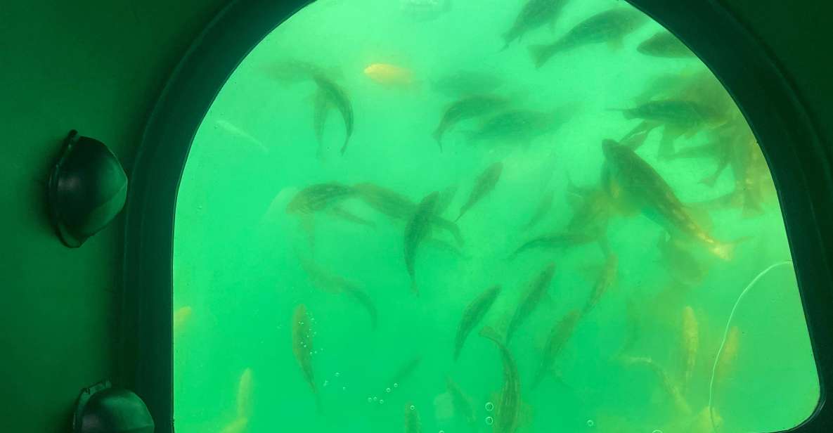 Long Beach: Glass Bottom Boat Harbor Ecotour - Who Will Love This Tour?