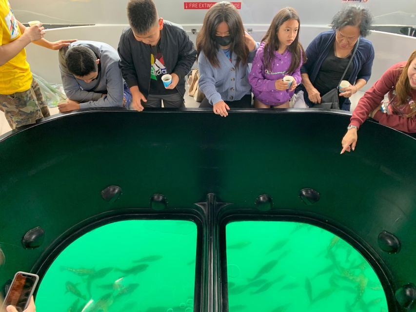 Long Beach: Glass Bottom Boat Harbor Ecotour - Final Thoughts: Is It Worth It?