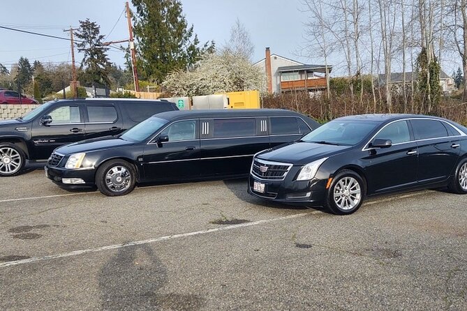 Long Beach to World Cruise Center - Departure Private Transfer - Detailed Breakdown of the Experience