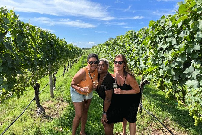 Long Island Wine and Food Day Trip with Sommelier host from NYC - The Overview: Setting the Scene for a Memorable Day