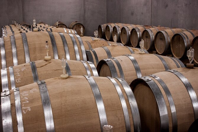 Long Island Wine Tour North Fork Sights, Bites & Flights Full-Day - Key Points