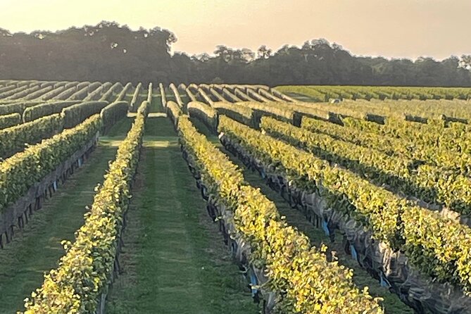 Long Island Wine Tour North Fork Sights, Bites & Flights Full-Day - Who Will Love This Tour?