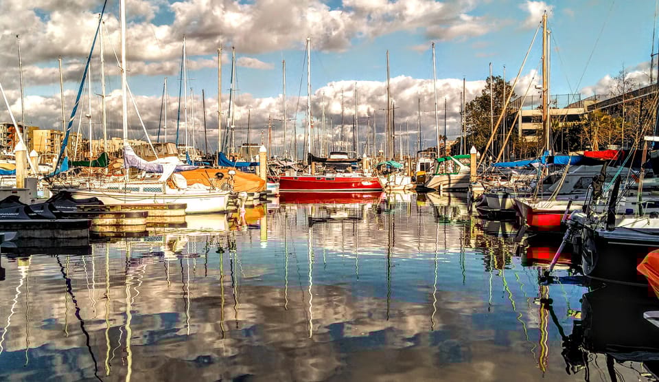 Los Angeles #1: Luxury Boat Cruise-Wine, Cheese & Sea Lions - Who Would Love This Tour