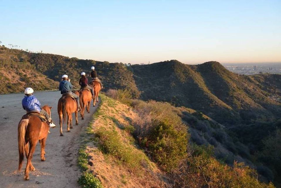 Los Angeles: 2-Hour Hollywood Trail Horseback Riding Tour - The Experience: What to Expect on the Trail