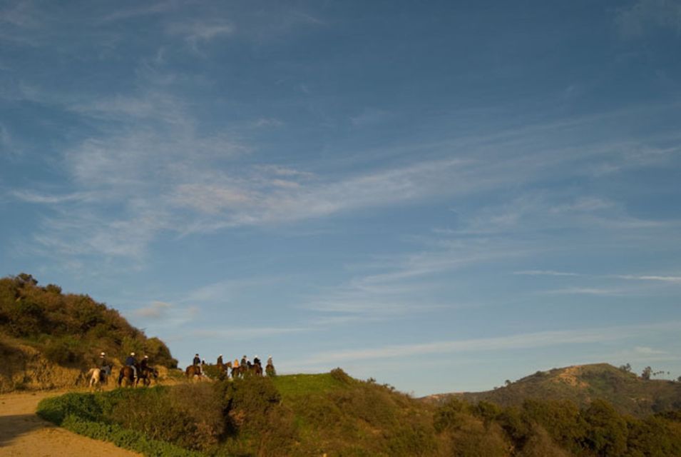 Los Angeles: 2-Hour Hollywood Trail Horseback Riding Tour - Authentic Guest Insights