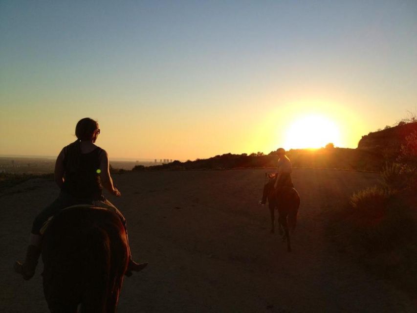 Los Angeles: 2-Hour Hollywood Trail Horseback Riding Tour - The Sum Up