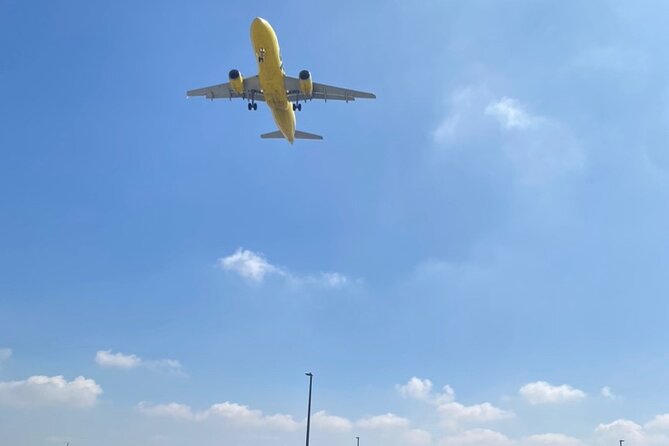 Los Angeles 3-Hour Hollywood - Beverly Hills -LAX Trip - Who Should Consider This Tour?