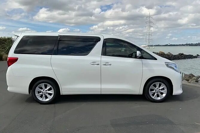 Los Angeles Airport (LAX) to Cruise Terminal - Arrival Transfer - Why Choose This Transfer?