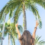 Los Angeles Half-Day Tour - Downtown, Hollywood, Rodeo Drive, Farmer's Market - Practical Insights and What You Can Expect
