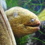 Los Angeles: Heal The Bay Aquarium in Santa Monica - Who Will Love This Experience?