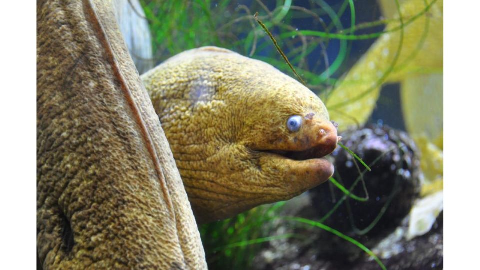 Los Angeles: Heal The Bay Aquarium in Santa Monica - The Sum Up