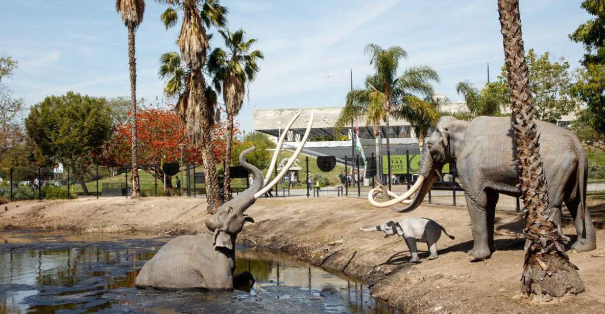 Los Angeles: La Brea Tar Pits Museum Ticket - Introduction: A Closer Look at the La Brea Tar Pits Museum